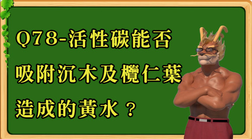 Q78-活性碳能否吸附沉木及欖仁葉造成的黃水？ 龍爵士