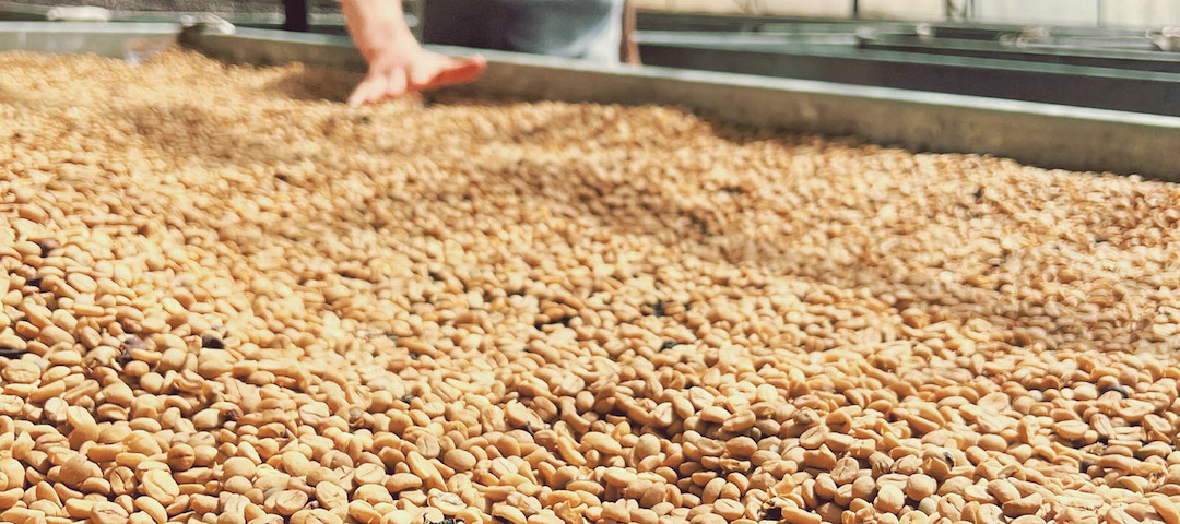 Sherry Selection 與世界冠軍一起探索咖啡的樂趣