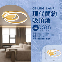 66W 鋁合金奢華吸頂燈 G6-0343 Datalamp